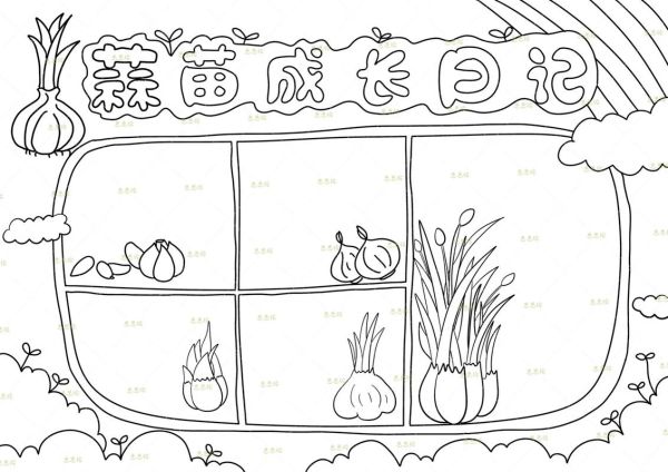 四年级蒜苗生长记录表怎么写_蒜苗观察日记模板-第2张图片-山城妙识