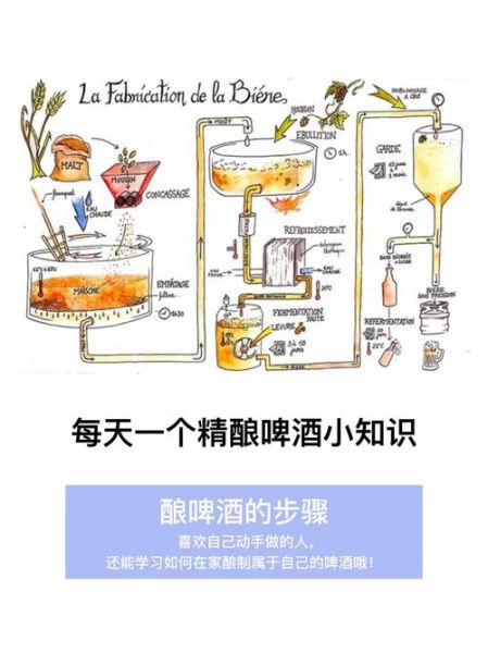 精酿啤酒生产工艺流程_如何在家自酿精酿啤酒-第1张图片-山城妙识