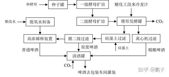 精酿啤酒生产工艺流程_如何在家自酿精酿啤酒-第2张图片-山城妙识