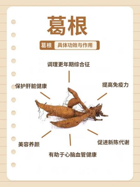 葛根粉的正确吃法_葛根粉一天吃多少克-第3张图片-山城妙识 葛根粉的正确吃法_葛根粉一天吃多少克-第3张图片-山城妙识