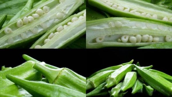 秋葵视频下载安卓版安全吗_秋葵视频下载安卓版怎么安装-第2张图片-山城妙识