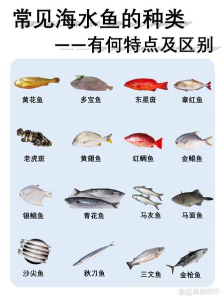 常吃的海鱼有哪些_海鱼图片大全怎么认-第2张图片-山城妙识 常吃的海鱼有哪些_海鱼图片大全怎么认-第2张图片-山城妙识