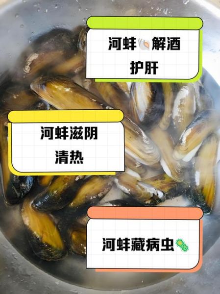 吃河蚌的好处与坏处_河蚌能不能经常吃-第3张图片-山城妙识 吃河蚌的好处与坏处_河蚌能不能经常吃-第3张图片-山城妙识