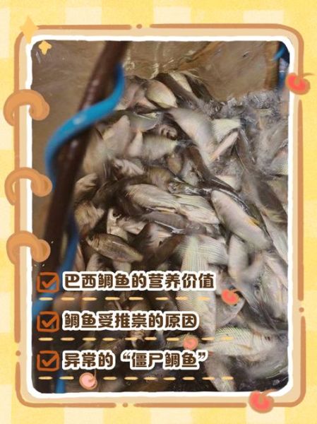 鲷鱼的营养价值_什么人不能吃鲷鱼-第2张图片-山城妙识 鲷鱼的营养价值_什么人不能吃鲷鱼-第2张图片-山城妙识