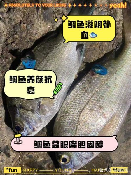 鲷鱼的营养价值_什么人不能吃鲷鱼-第3张图片-山城妙识 鲷鱼的营养价值_什么人不能吃鲷鱼-第3张图片-山城妙识