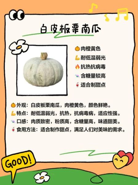 南瓜品种有哪些_如何区分常见南瓜-第3张图片-山城妙识