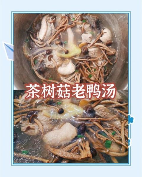 茶树菇老鸭汤的功效_适合哪些人喝-第1张图片-山城妙识 茶树菇老鸭汤的功效_适合哪些人喝-第1张图片-山城妙识