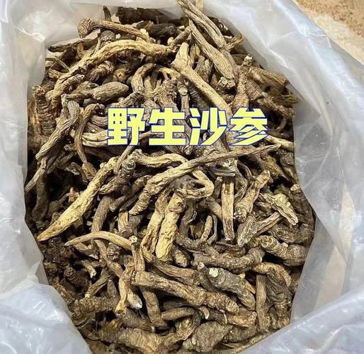 野生沙参长什么样_野生沙参和种植沙参区别-第3张图片-山城妙识 野生沙参长什么样_野生沙参和种植沙参区别-第3张图片-山城妙识