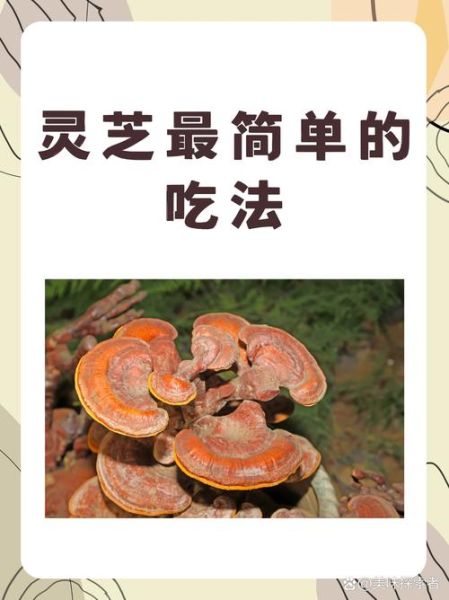 野生灵芝的功效与作用_野生灵芝怎么吃效果最好-第1张图片-山城妙识