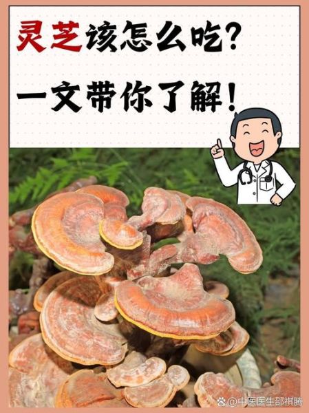 野生灵芝的功效与作用_野生灵芝怎么吃效果最好-第2张图片-山城妙识