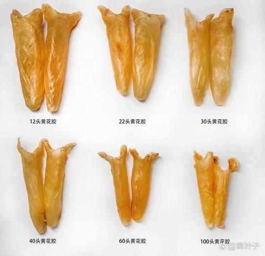 黄花胶的功效与作用_黄花胶怎么吃效果最好-第3张图片-山城妙识