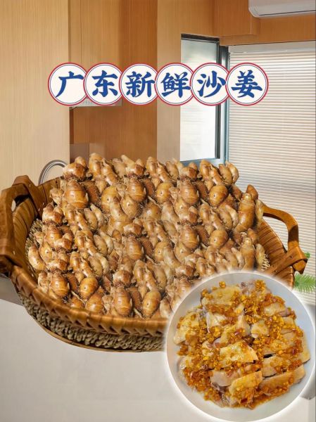 沙姜的功效与作用_沙姜怎么吃最好-第3张图片-山城妙识