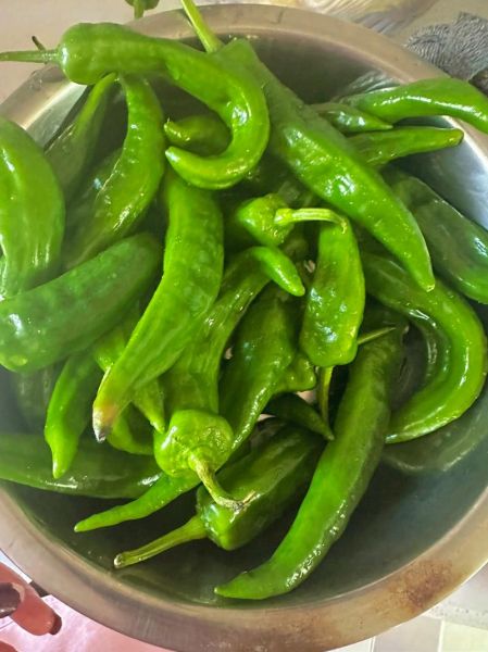 油咸菜怎么腌制_油咸菜的做法步骤-第3张图片-山城妙识 油咸菜怎么腌制_油咸菜的做法步骤-第3张图片-山城妙识