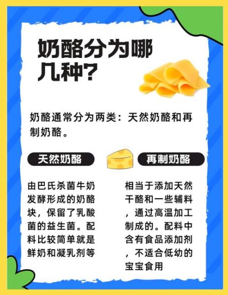 芝士的功效与作用_芝士补钙效果好吗-第1张图片-山城妙识