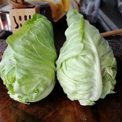 手撕包菜是哪种包菜_手撕包菜用圆白菜还是绿甘蓝-第3张图片-山城妙识
