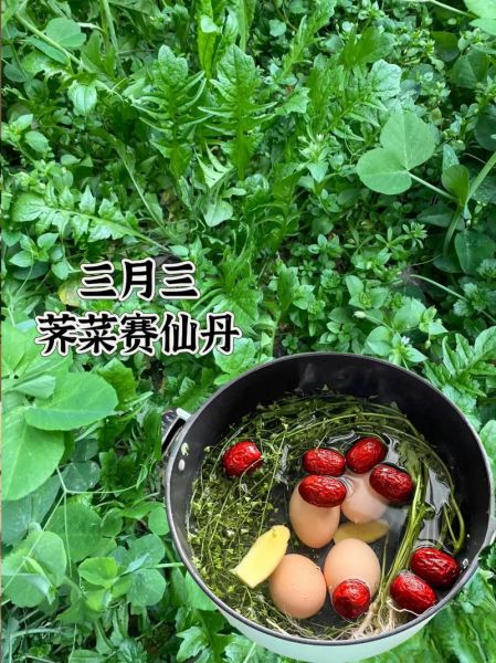 荠菜怎么做好吃_荠菜怎么做好吃又有营养-第2张图片-山城妙识