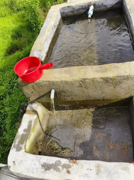 粽子叶怎么处理才能包粽子_粽子叶要泡多久-第3张图片-山城妙识