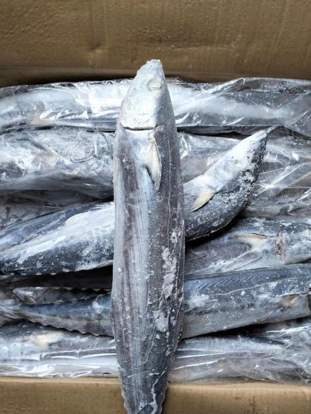 马鲛鱼干的营养价值_马鲛鱼干吃了会上火吗-第1张图片-山城妙识 马鲛鱼干的营养价值_马鲛鱼干吃了会上火吗-第1张图片-山城妙识