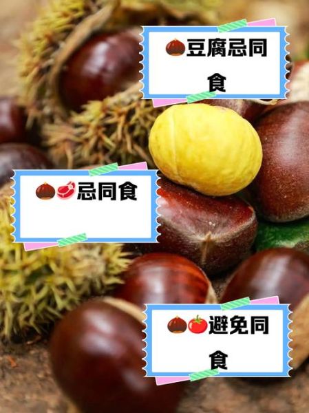 栗子不能和什么一起吃_栗子与哪些食物相克-第2张图片-山城妙识 栗子不能和什么一起吃_栗子与哪些食物相克-第2张图片-山城妙识