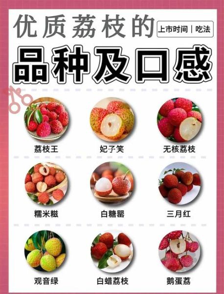 荔枝品种有哪些_如何挑选最好吃的荔枝-第2张图片-山城妙识 荔枝品种有哪些_如何挑选最好吃的荔枝-第2张图片-山城妙识
