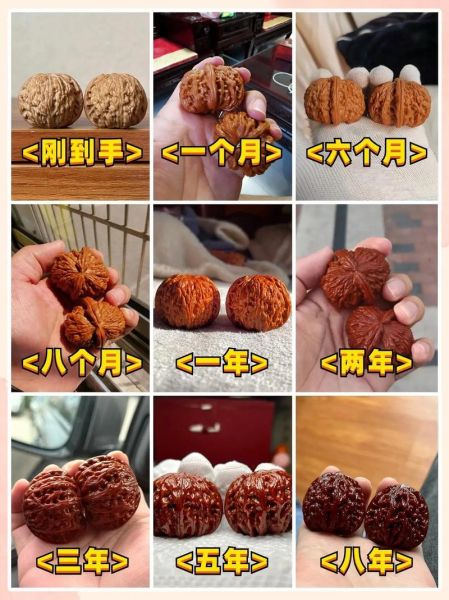 文玩核桃怎么上色快_包浆快的方法-第1张图片-山城妙识 文玩核桃怎么上色快_包浆快的方法-第1张图片-山城妙识