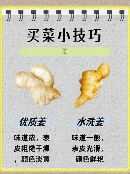 蔬菜生意刚开始怎么做_新手卖菜如何起步-第2张图片-山城妙识 蔬菜生意刚开始怎么做_新手卖菜如何起步-第2张图片-山城妙识