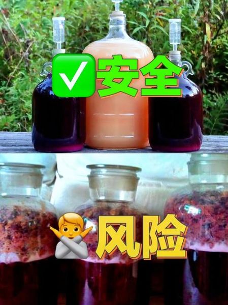 自酿葡萄酒怎么做_自酿葡萄酒的注意事项-第3张图片-山城妙识 自酿葡萄酒怎么做_自酿葡萄酒的注意事项-第3张图片-山城妙识