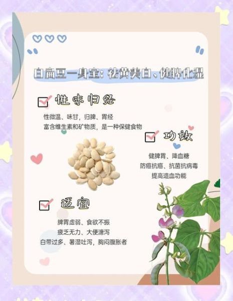 白扁豆的功效与作用_白扁豆怎么吃最健脾-第1张图片-山城妙识 白扁豆的功效与作用_白扁豆怎么吃最健脾-第1张图片-山城妙识