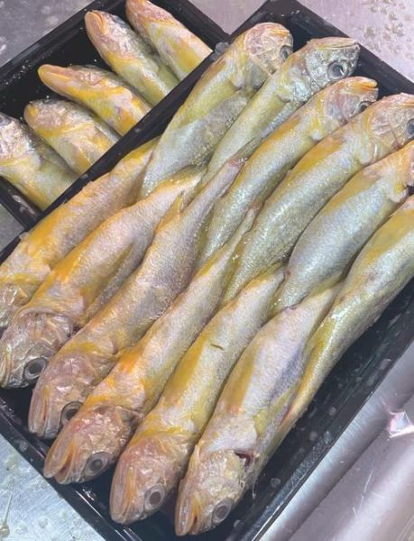 黄花鱼和鲈鱼哪个营养价值高_孕妇吃哪个更好-第1张图片-山城妙识 黄花鱼和鲈鱼哪个营养价值高_孕妇吃哪个更好-第1张图片-山城妙识