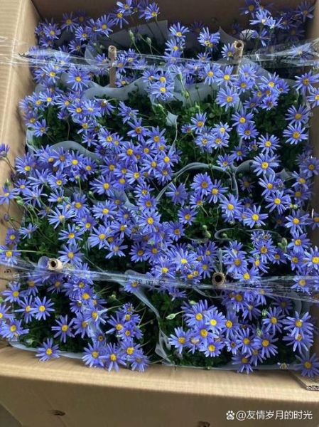 蓝色玛格丽特怎么调_蓝色玛格丽特配方比例-第3张图片-山城妙识