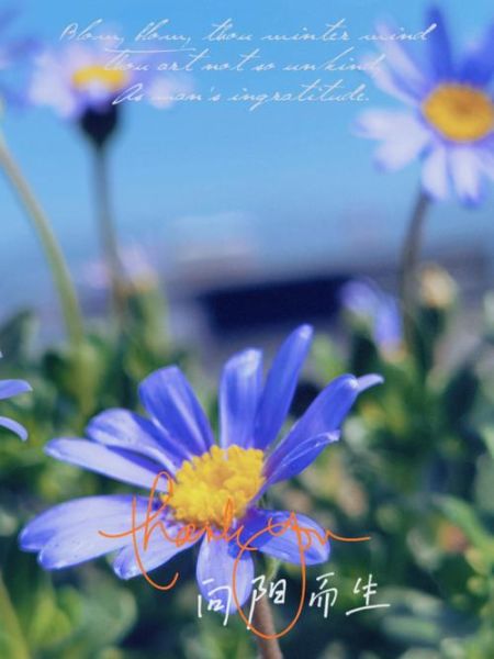 蓝色玛格丽特怎么调_蓝色玛格丽特配方比例-第2张图片-山城妙识