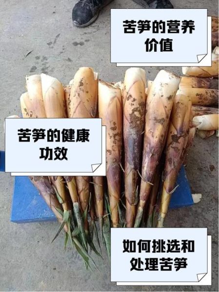 苦笋不能和什么一起吃_苦笋哪些人不能吃-第1张图片-山城妙识