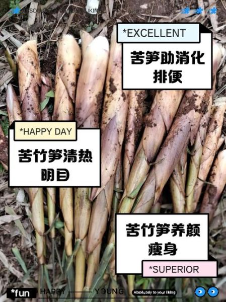 苦笋不能和什么一起吃_苦笋哪些人不能吃-第2张图片-山城妙识