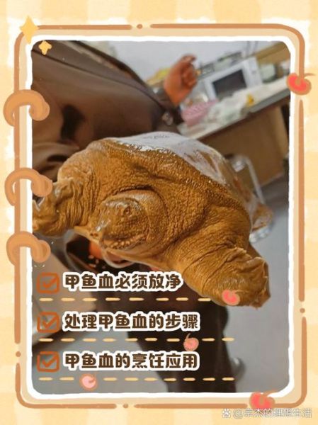 杀甲鱼的正确方法_如何快速放血去腥-第2张图片-山城妙识