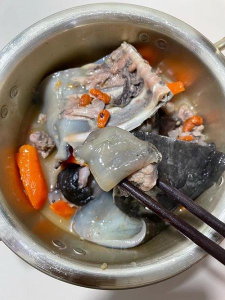 杀甲鱼的正确方法_如何快速放血去腥-第1张图片-山城妙识