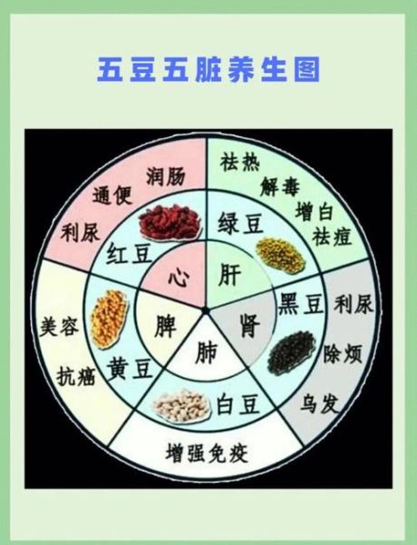 四季饮食养生吃什么_四季饮食如何搭配-第3张图片-山城妙识 四季饮食养生吃什么_四季饮食如何搭配-第3张图片-山城妙识