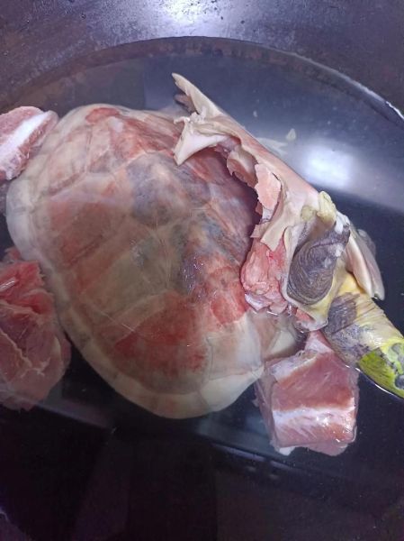 土茯苓煲龟禁忌_哪些人不能吃-第2张图片-山城妙识