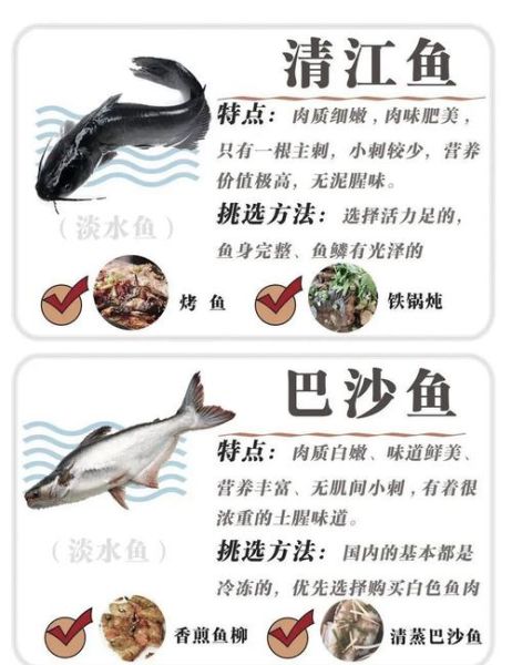 什么淡水鱼刺少_适合孩子吃的无刺鱼推荐-第1张图片-山城妙识 什么淡水鱼刺少_适合孩子吃的无刺鱼推荐-第1张图片-山城妙识