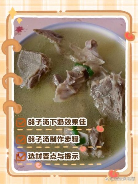 月子餐鸽子汤怎么做_产妇喝鸽子汤下奶吗-第3张图片-山城妙识 月子餐鸽子汤怎么做_产妇喝鸽子汤下奶吗-第3张图片-山城妙识