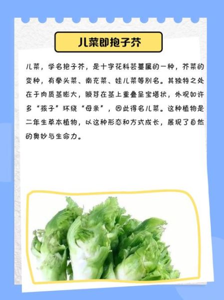 儿菜焯水还是不焯水_口感营养哪个更重要-第1张图片-山城妙识