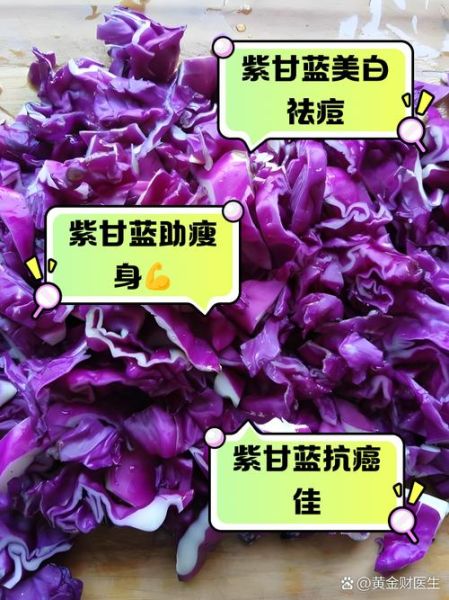 紫甘蓝汁怎么喝_紫甘蓝汁的功效与作用-第1张图片-山城妙识 紫甘蓝汁怎么喝_紫甘蓝汁的功效与作用-第1张图片-山城妙识