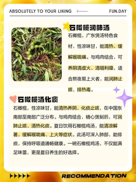 石橄榄炖汤的做法_石橄榄炖汤的功效-第1张图片-山城妙识 石橄榄炖汤的做法_石橄榄炖汤的功效-第1张图片-山城妙识