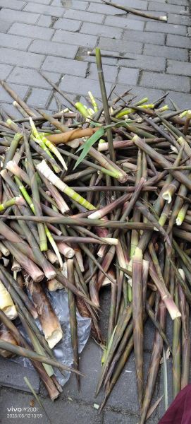 酸辣竹笋怎么腌制_酸辣竹笋腌制多久可以吃-第1张图片-山城妙识 酸辣竹笋怎么腌制_酸辣竹笋腌制多久可以吃-第1张图片-山城妙识