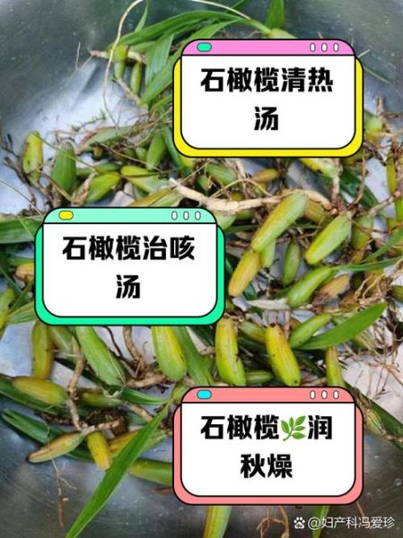 石橄榄炖汤的做法_石橄榄炖汤的功效-第3张图片-山城妙识 石橄榄炖汤的做法_石橄榄炖汤的功效-第3张图片-山城妙识