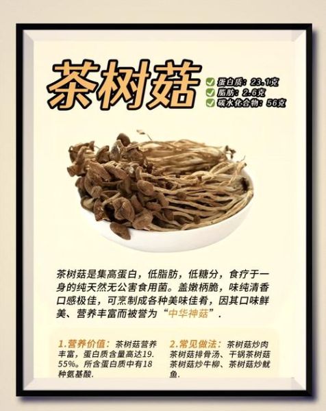 茶树菇的营养价值_茶树菇的功效与禁忌-第1张图片-山城妙识 茶树菇的营养价值_茶树菇的功效与禁忌-第1张图片-山城妙识