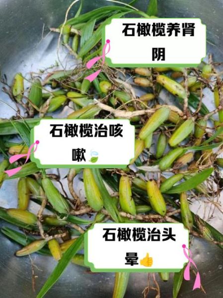 野生石橄榄图片_石橄榄怎么辨别真假-第3张图片-山城妙识