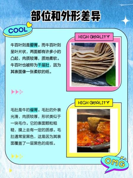 百叶和毛肚的区别_哪个更好吃-第1张图片-山城妙识 百叶和毛肚的区别_哪个更好吃-第1张图片-山城妙识