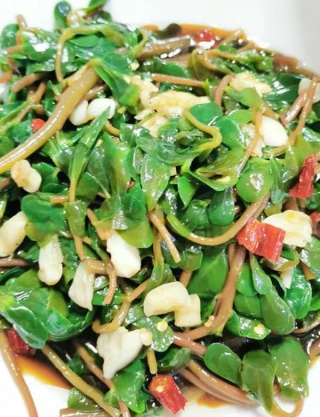 马齿苋怎么吃法_马齿苋凉拌怎么做-第1张图片-山城妙识 马齿苋怎么吃法_马齿苋凉拌怎么做-第1张图片-山城妙识