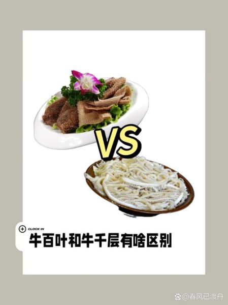 百叶和毛肚的区别_哪个更好吃-第3张图片-山城妙识 百叶和毛肚的区别_哪个更好吃-第3张图片-山城妙识