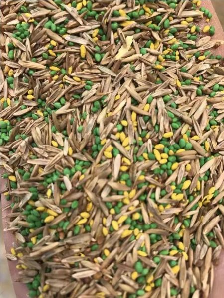 紫花苜蓿草种子多少钱一斤_紫花苜蓿草种子怎么种-第2张图片-山城妙识 紫花苜蓿草种子多少钱一斤_紫花苜蓿草种子怎么种-第2张图片-山城妙识